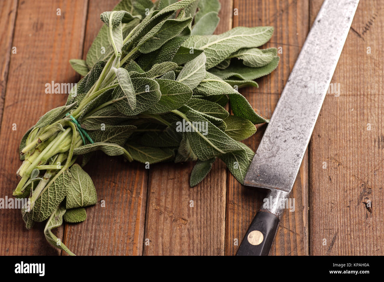 Fresh Sage Bundle Stock Photo - Alamy