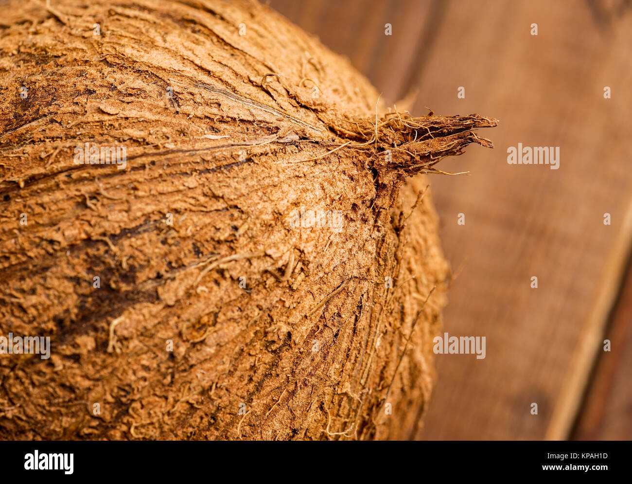 Whole coconut, close up Stock Photo - Alamy