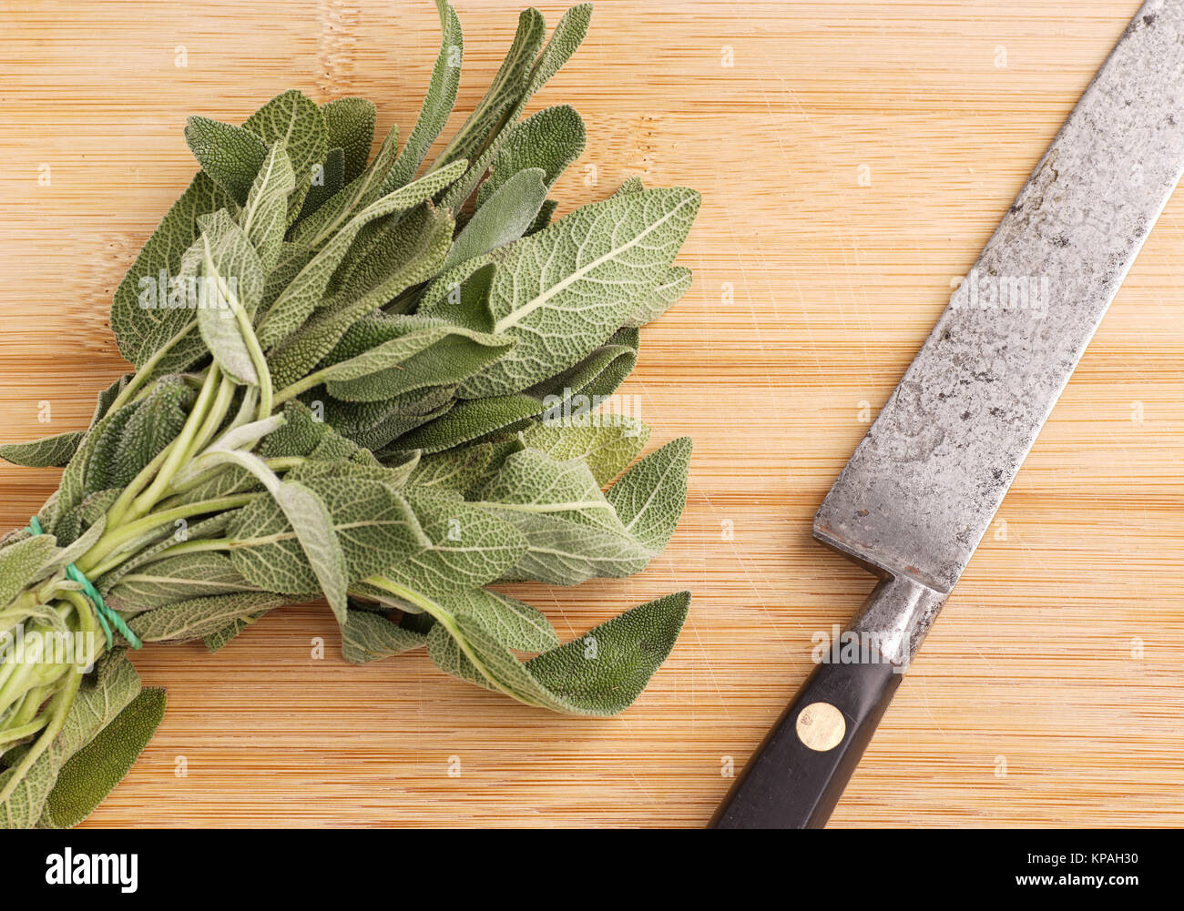 Fresh Sage Bundle Stock Photo - Alamy