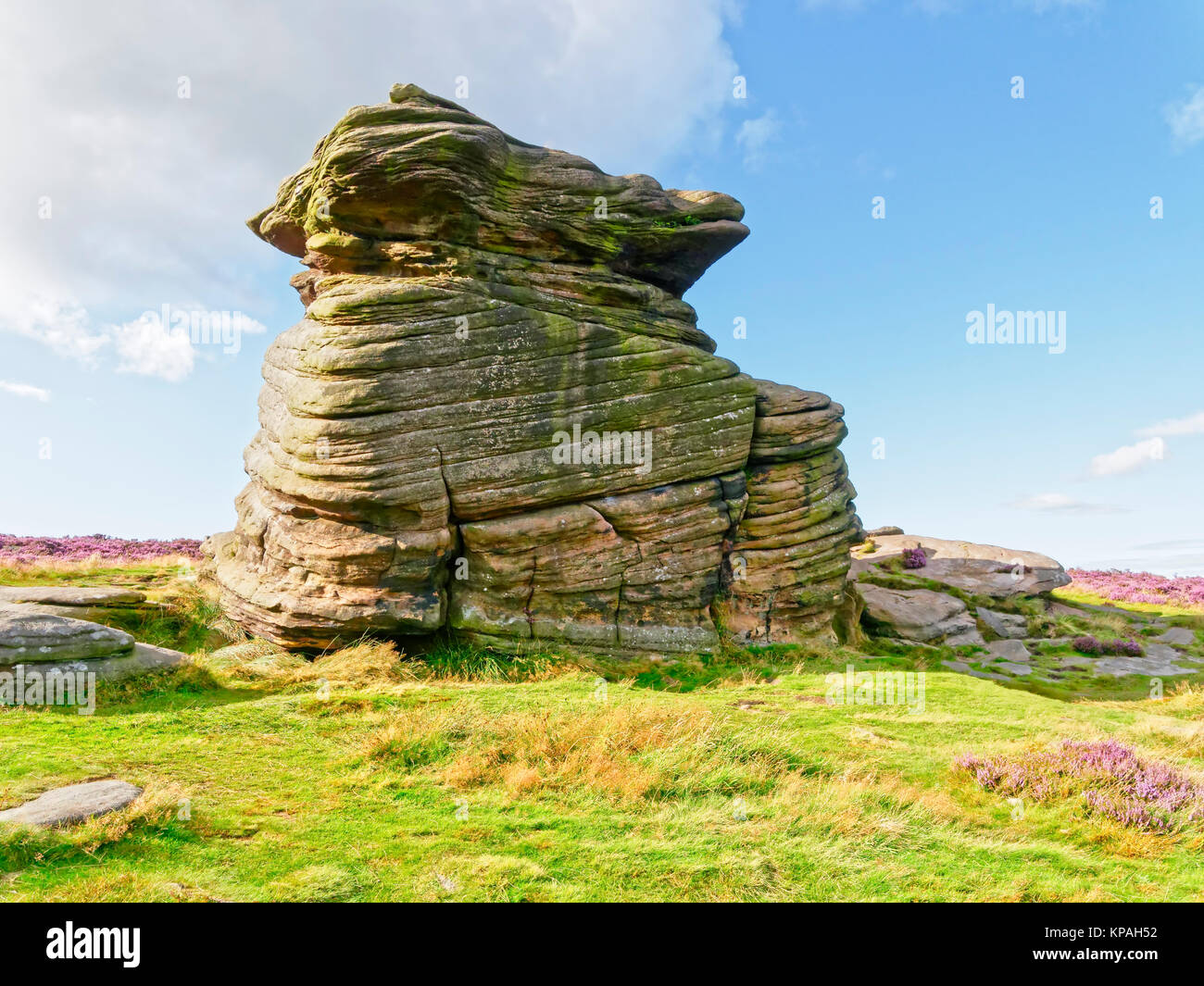 Bracken boulders ferns green hi-res stock photography and images - Alamy