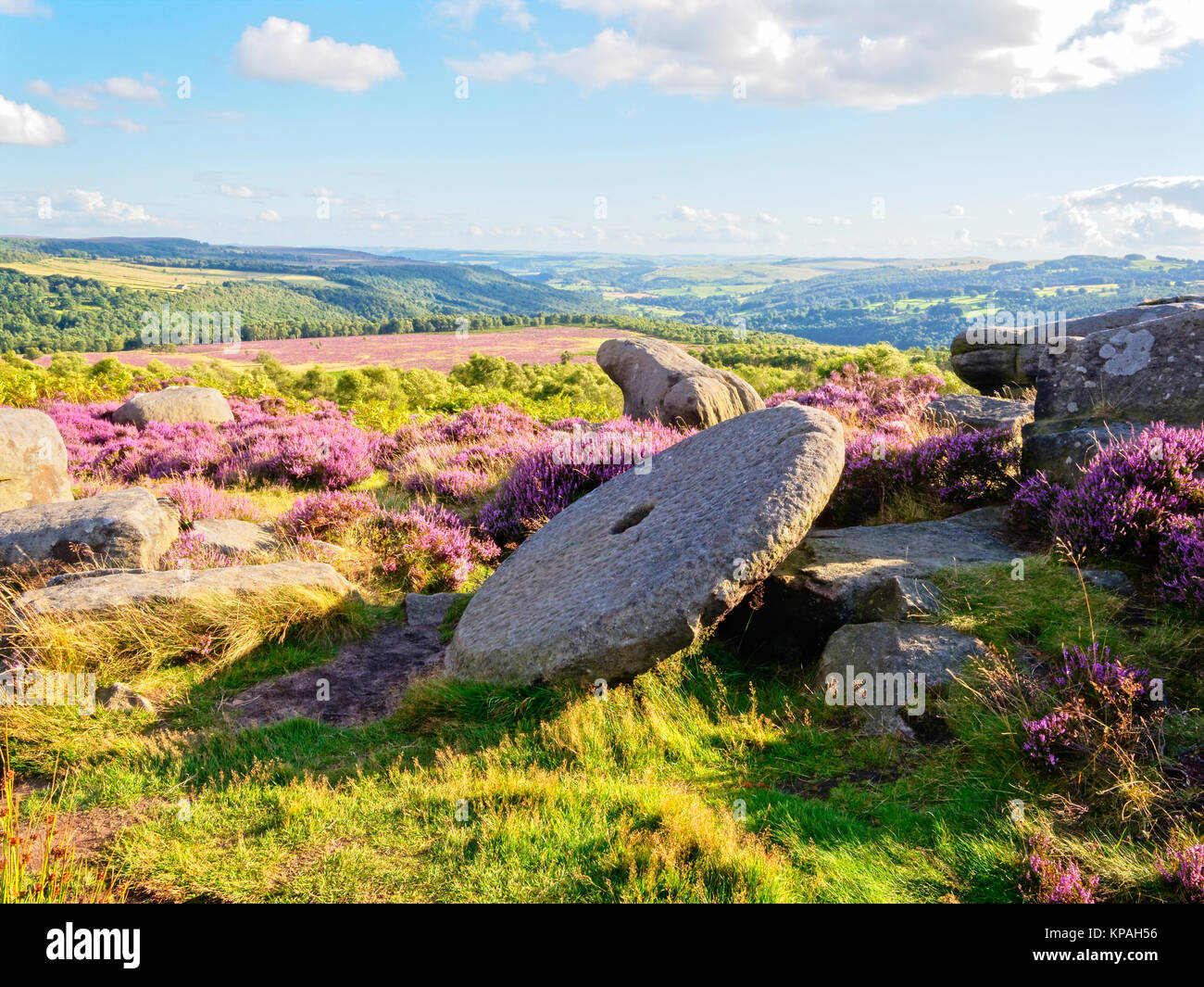On Hathersage Moor in derbyshire a large abandoned millstone rests at ...