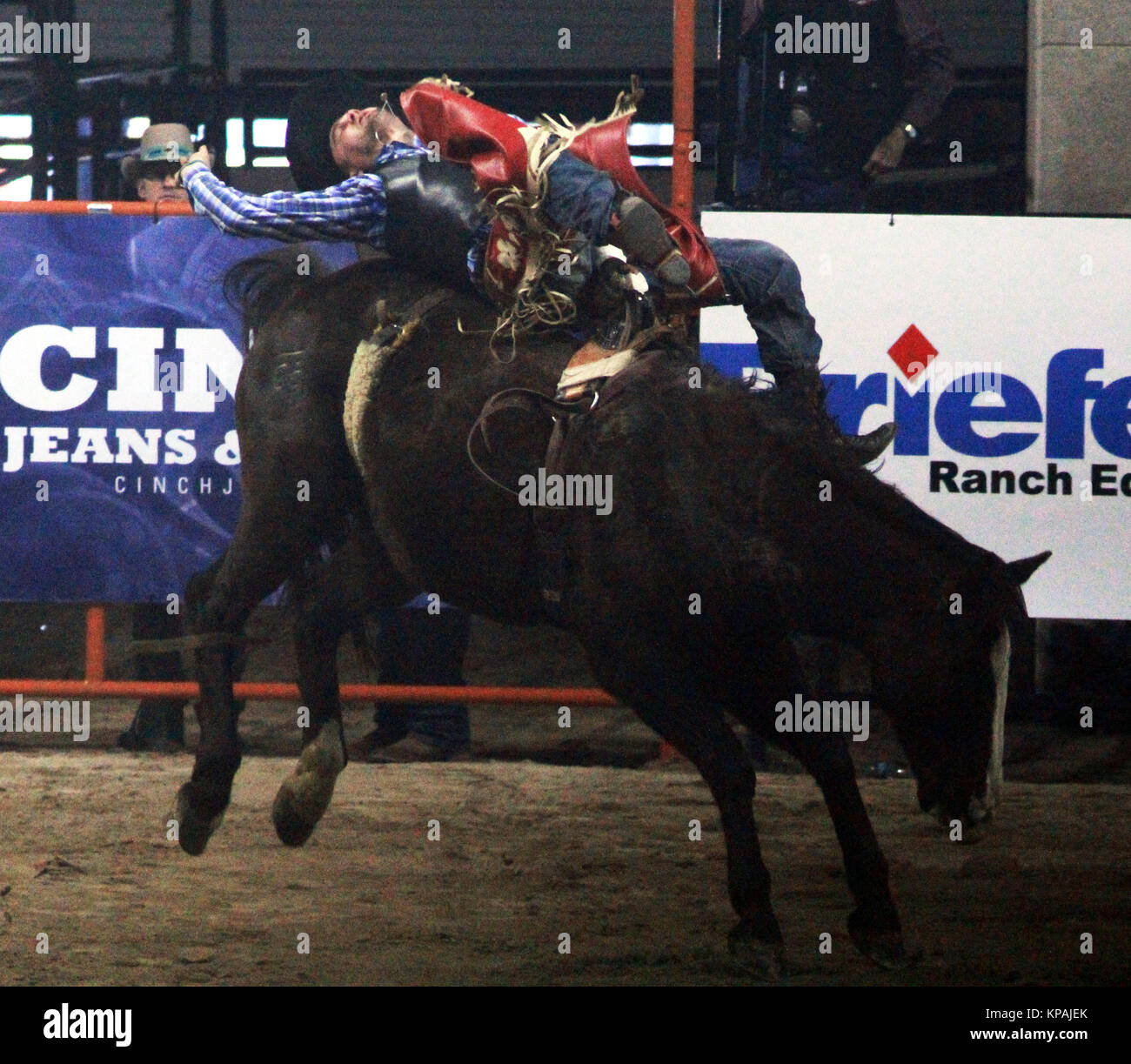 Shane oconnell hi-res stock photography and images - Alamy