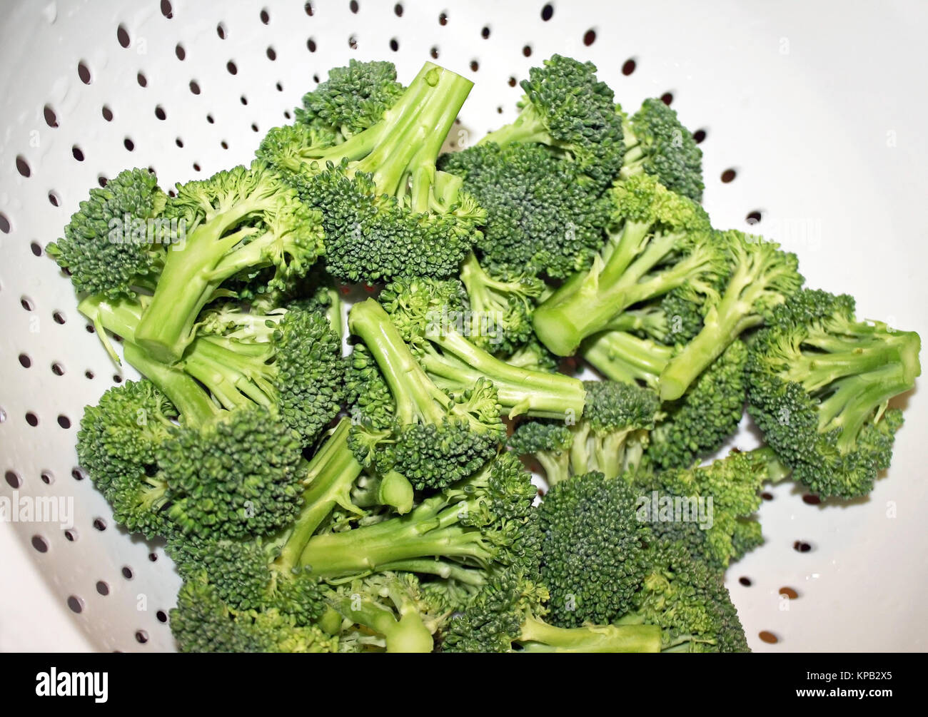 Fresh organic raw broccoli cut up and in colander ready for rinsing ...