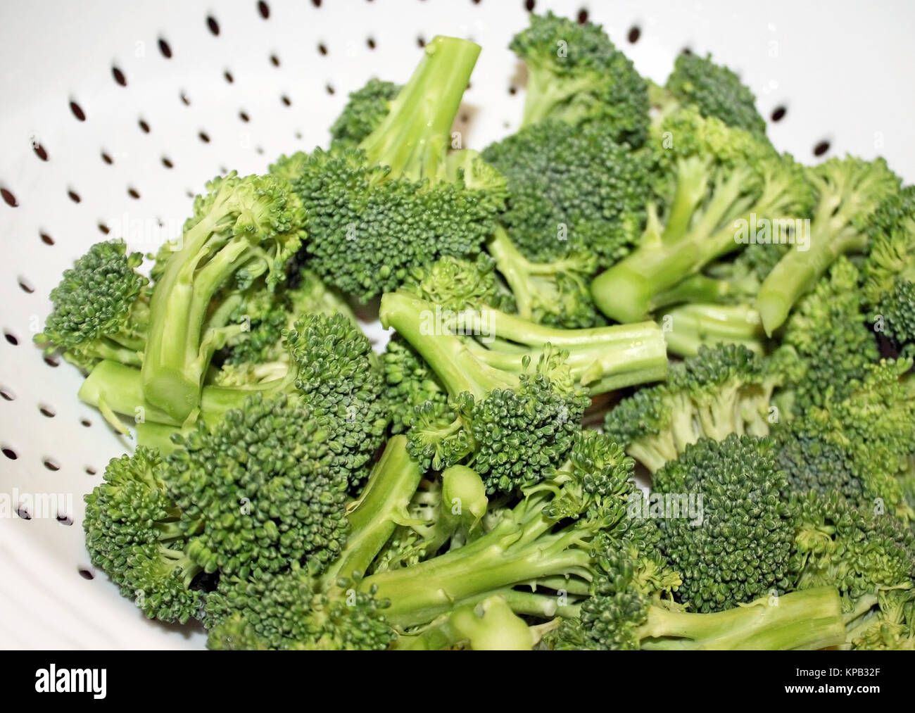 Fresh organic raw broccoli cut up and in colander ready for rinsing ...
