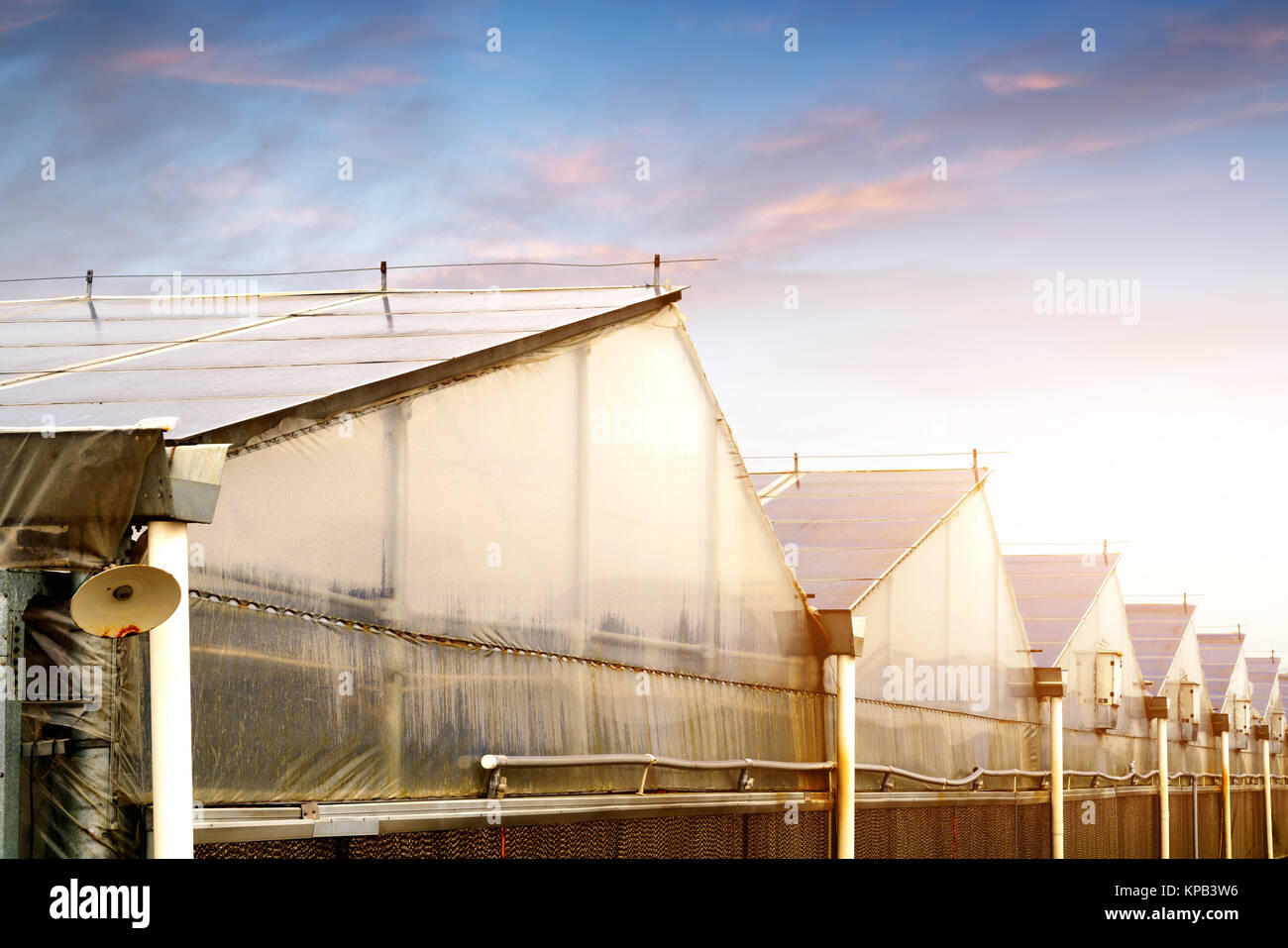 Photovoltaic roof, vegetable production base of plastic shed Stock ...