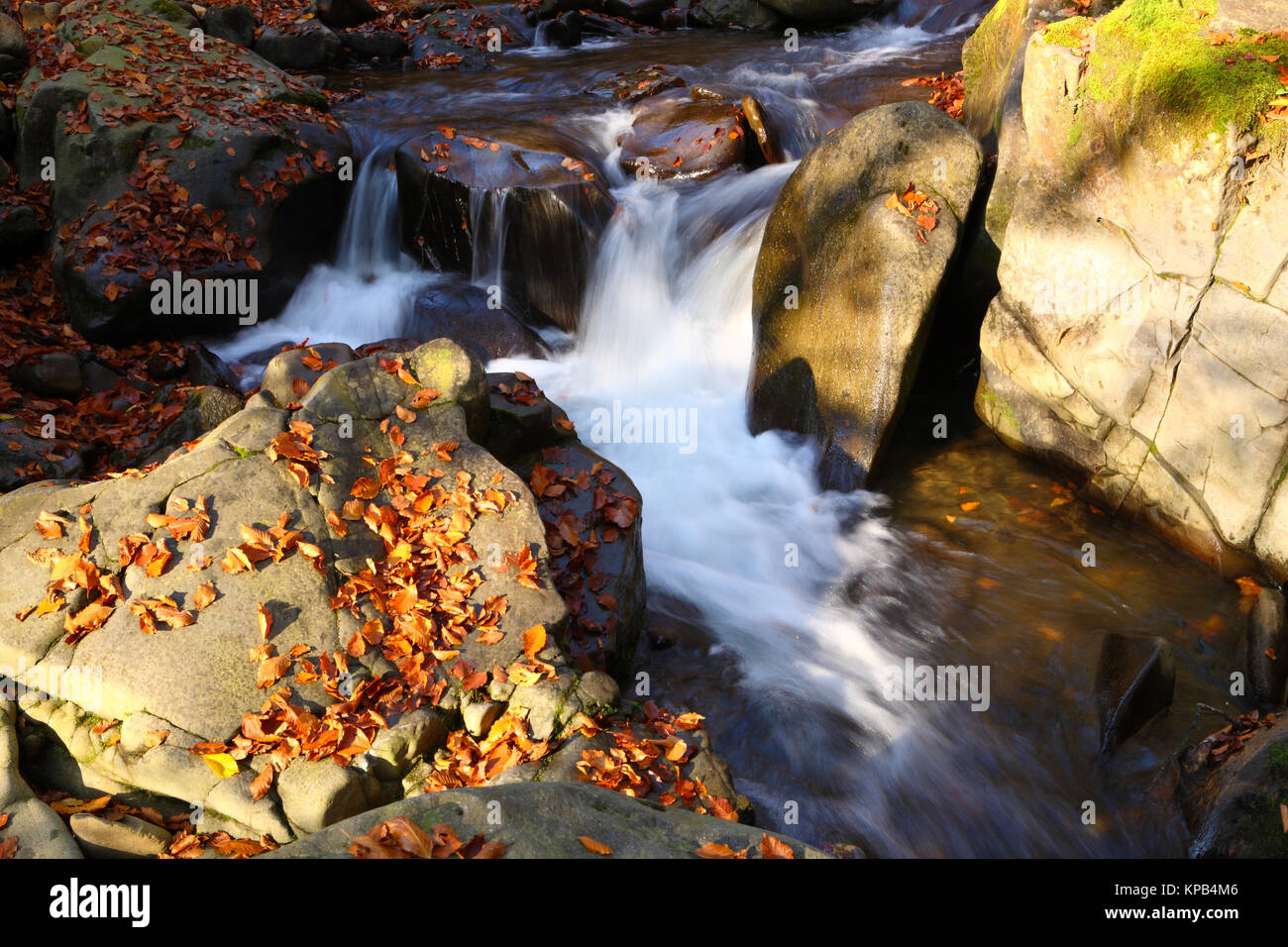 Magnificent view of the waterfall in the Autumn Beech Forest Stock ...