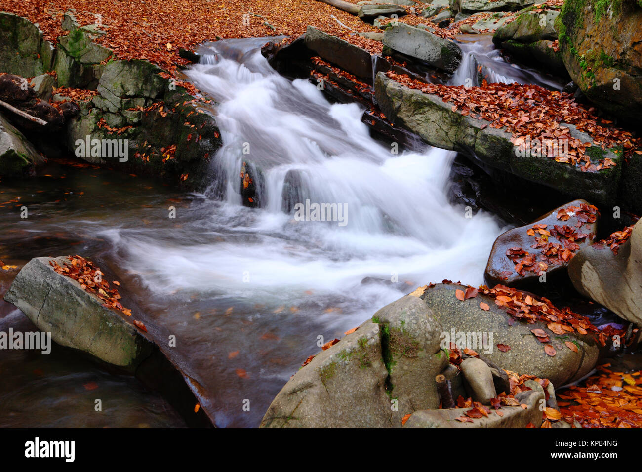 Magnificent view of the waterfall in the Autumn Beech Forest Stock ...