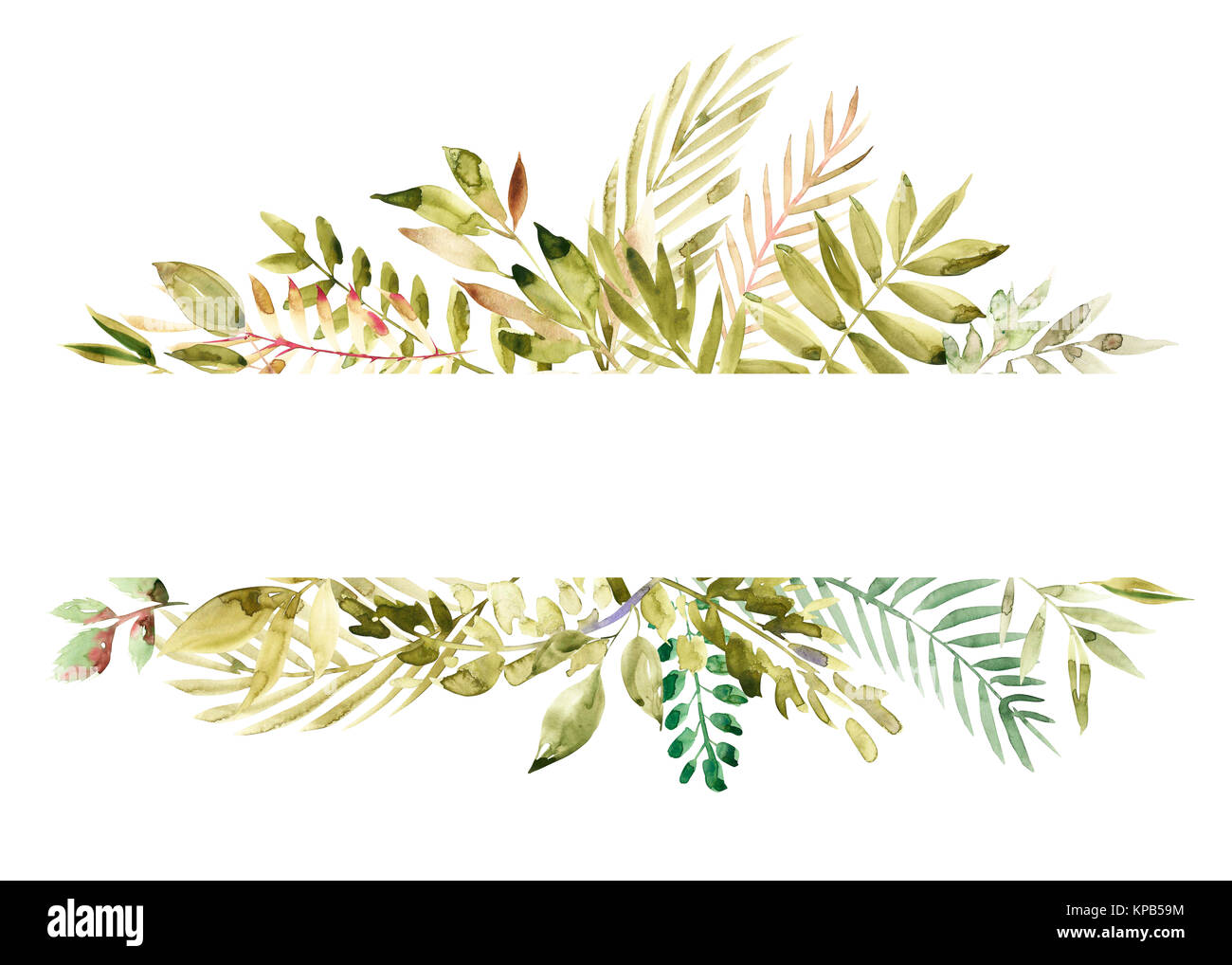 Watercolor hand painted green floral banner isolated on white ...