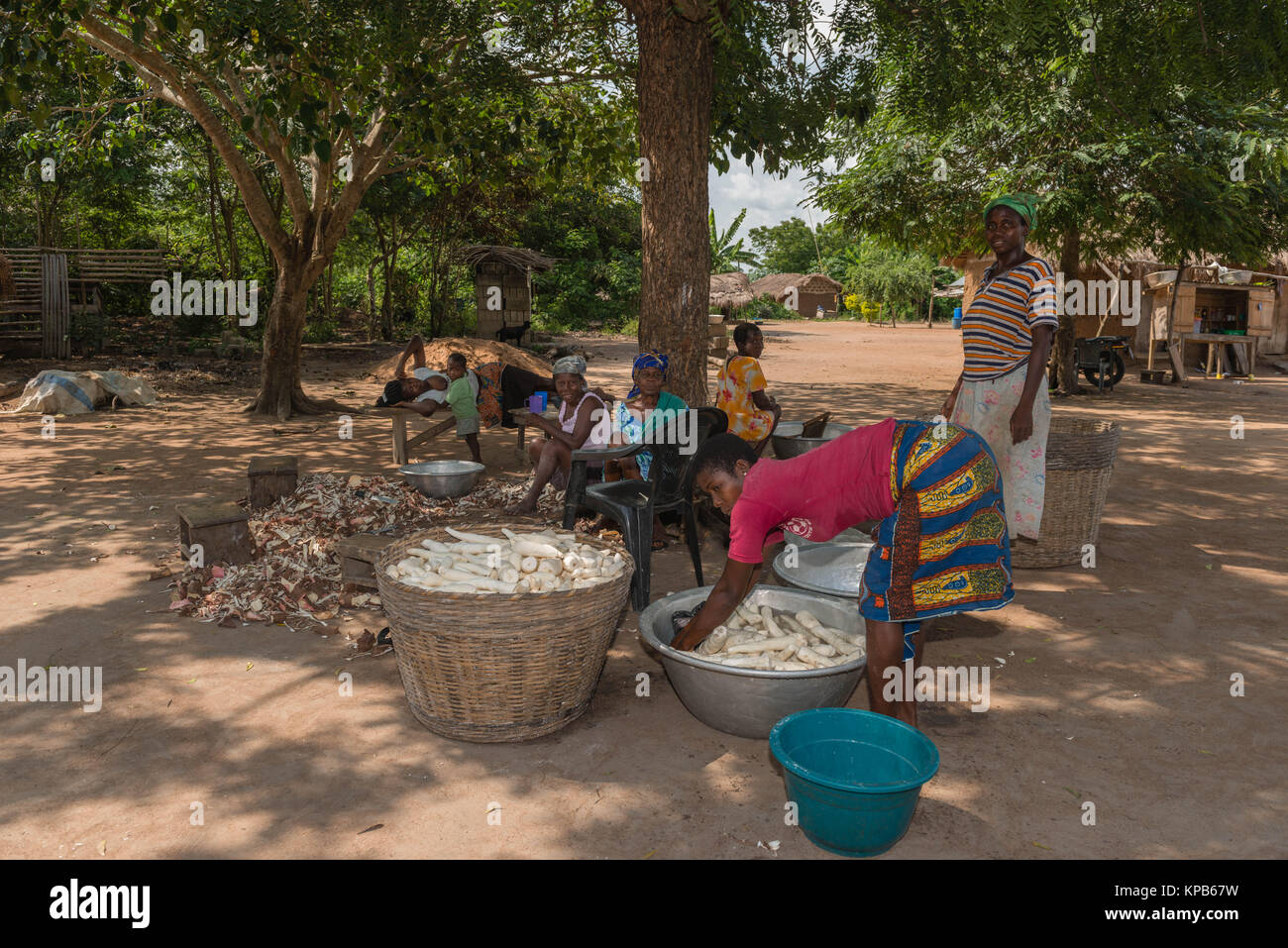 Women peeling and washing cassava with a machete, village near Mafi ...