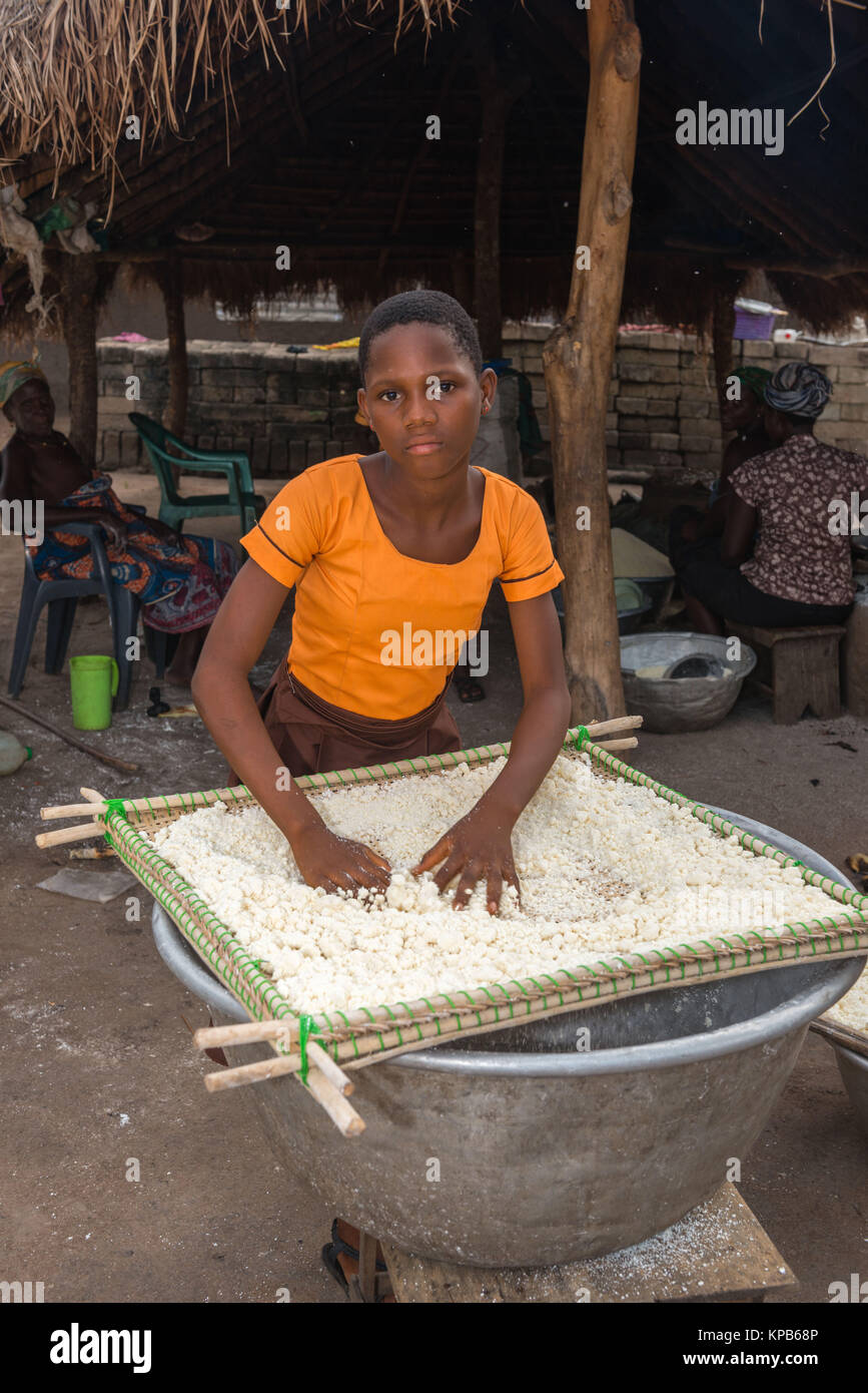 The ground cassava is sieved before getting roasted for the gari ...