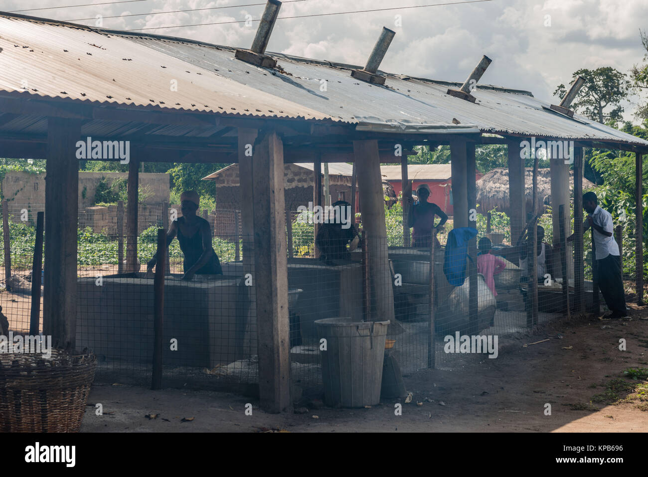 Roasting cassava on a sustainalble energy oven for gari production ...
