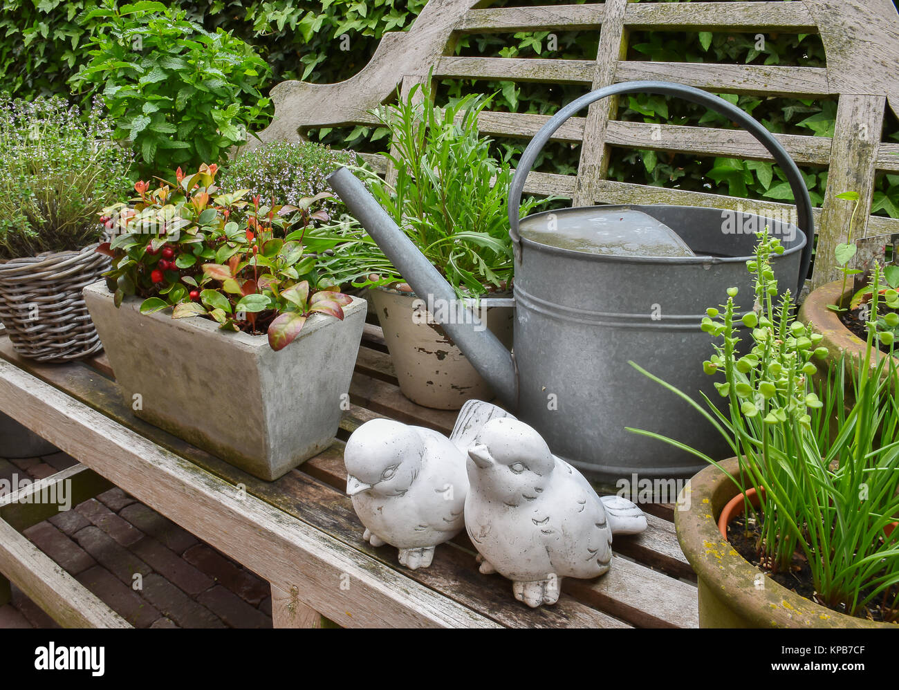Still life garden composition with herbs and plants Stock Photo - Alamy
