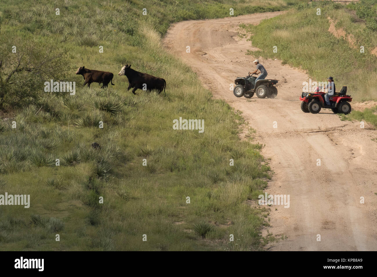 Four Wheelers High Resolution Stock Photography and Images - Alamy