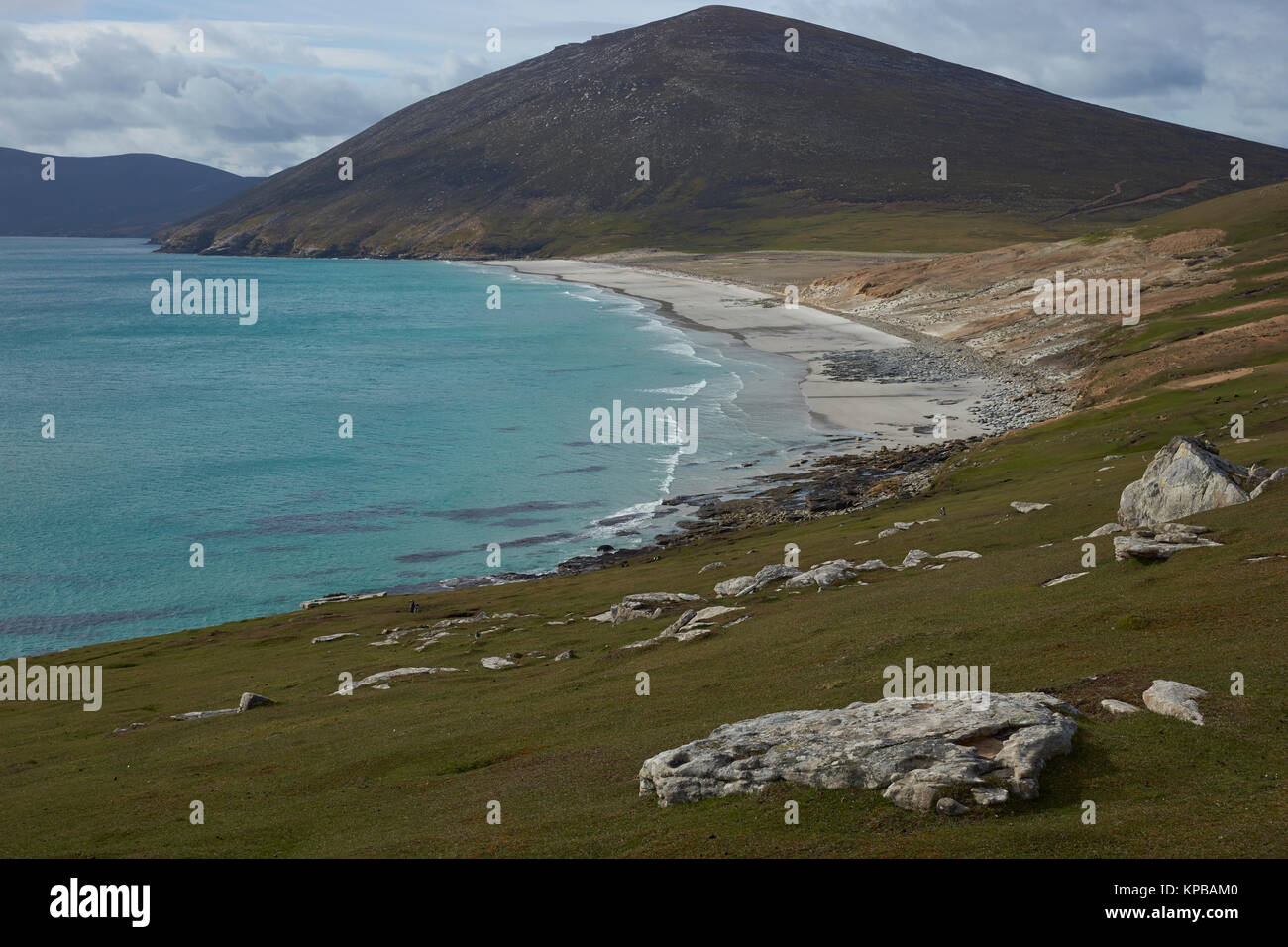 The Neck on Saunders Island in the Falkland Islands; home to multiple ...