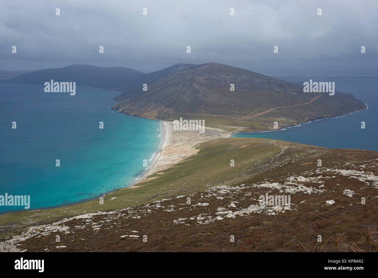 The Neck on Saunders Island in the Falkland Islands; home to multiple ...