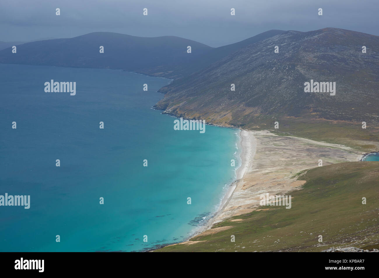The Neck on Saunders Island in the Falkland Islands; home to multiple ...