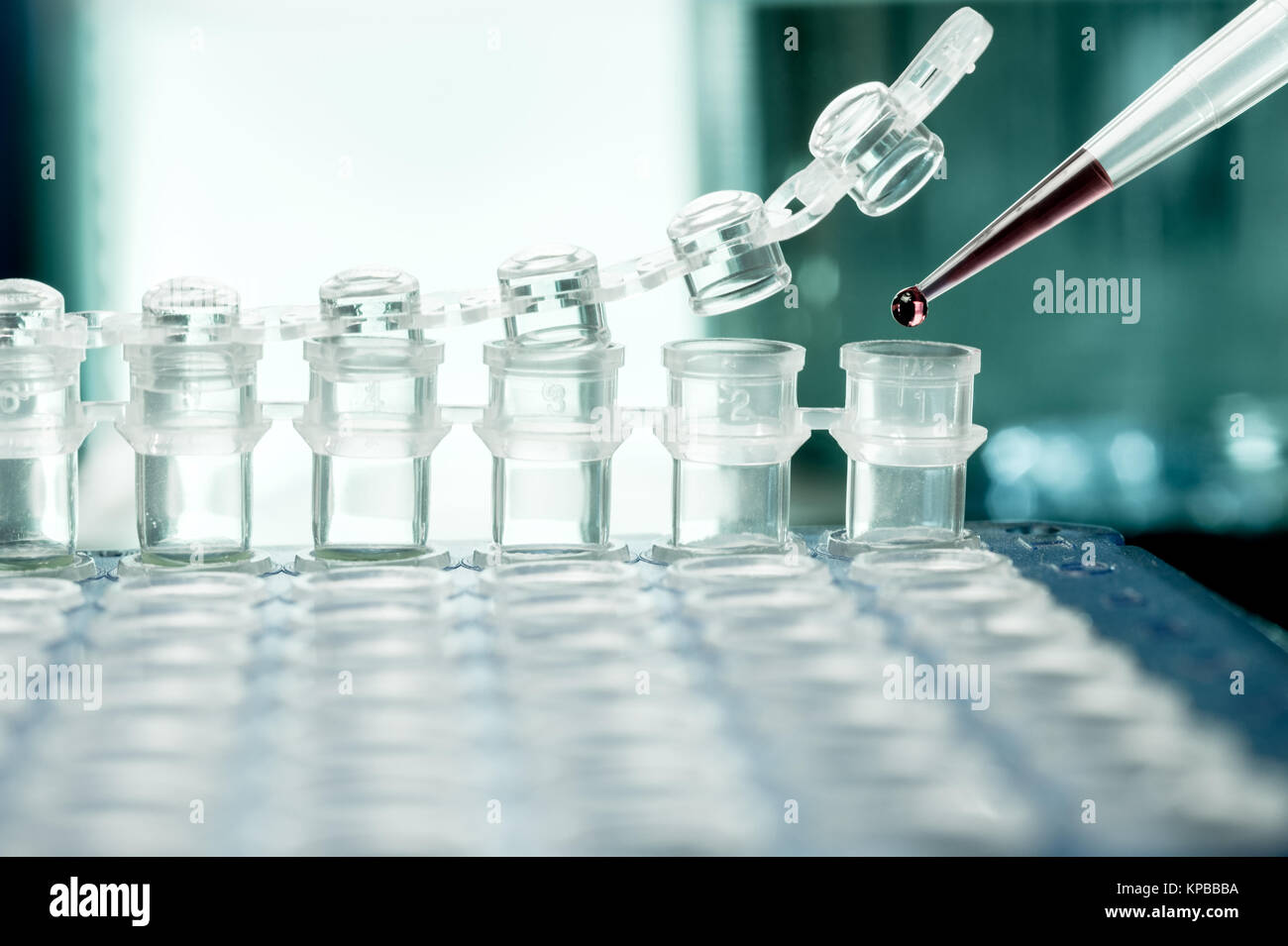 Closeup on plastic tubes for DNA amplification Stock Photo - Alamy