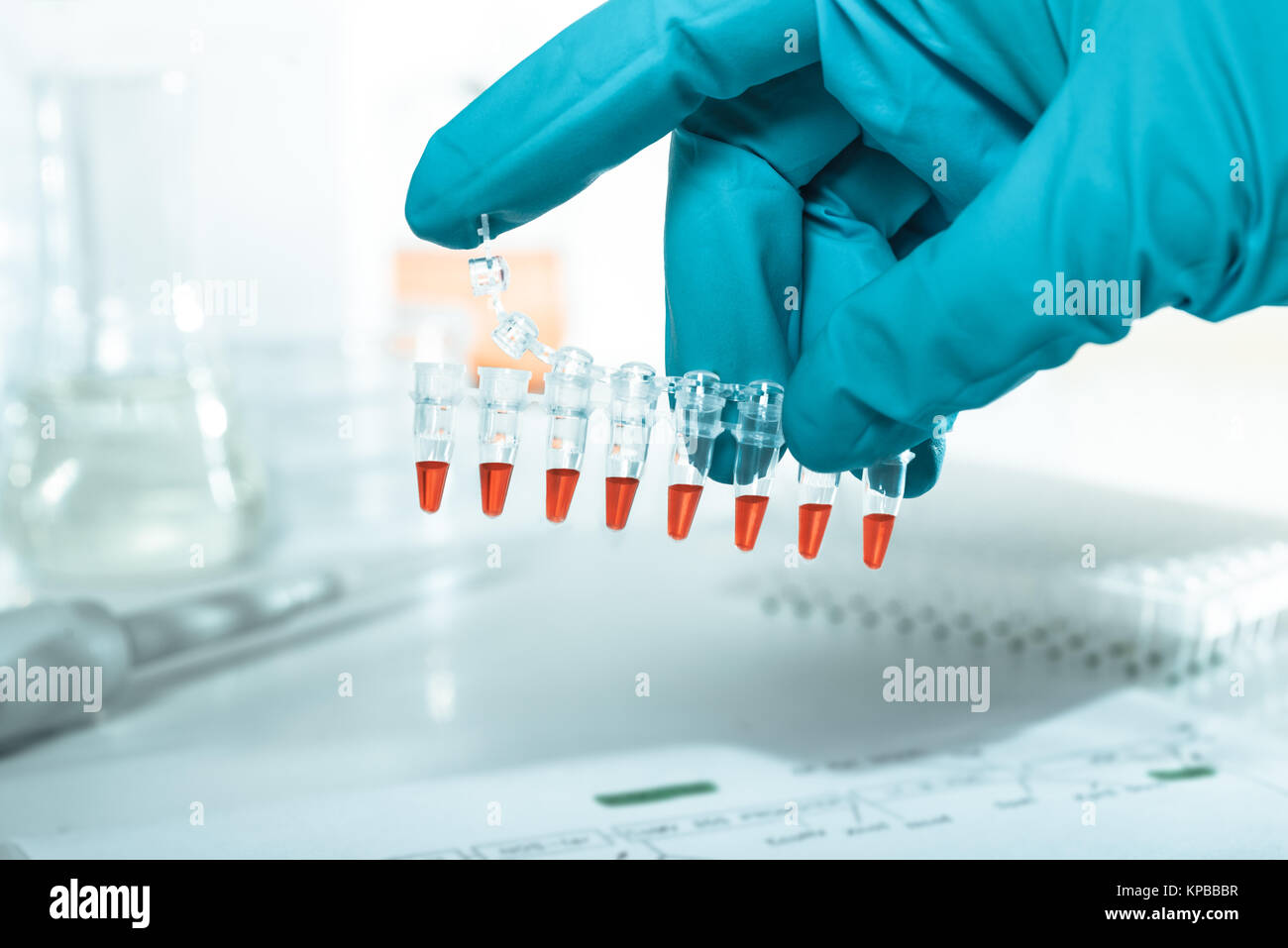 Plastic tubes with red samples for PCR reaction to analyse DNA Stock ...