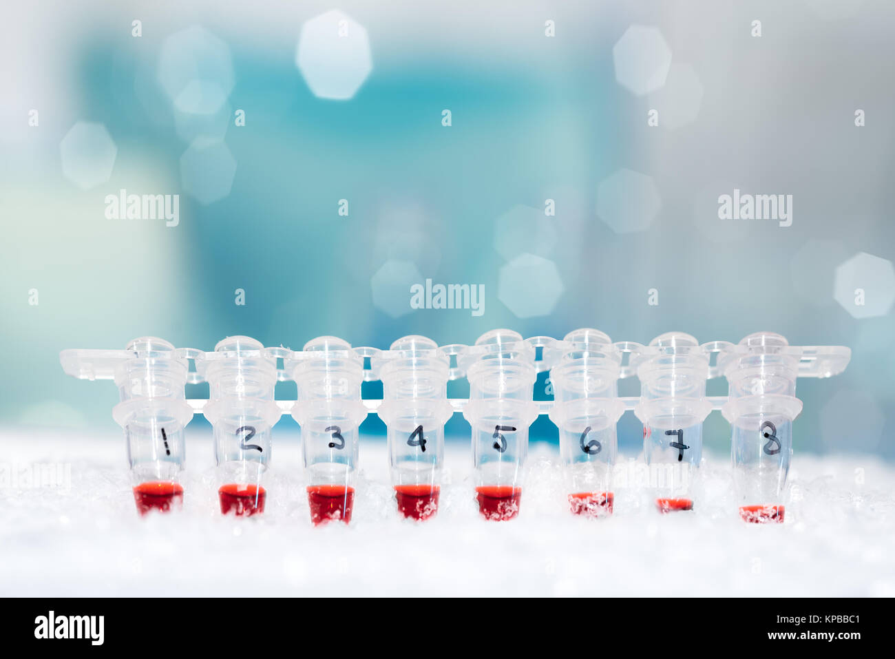 Tubes for DNA amplification by PCR on ice Stock Photo - Alamy