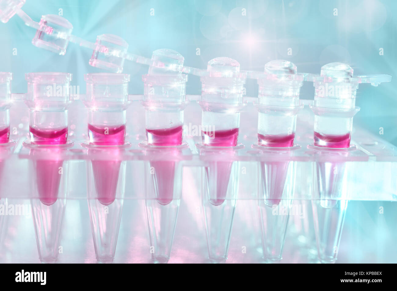 Tubes for DNA amplification by PCR Stock Photo - Alamy