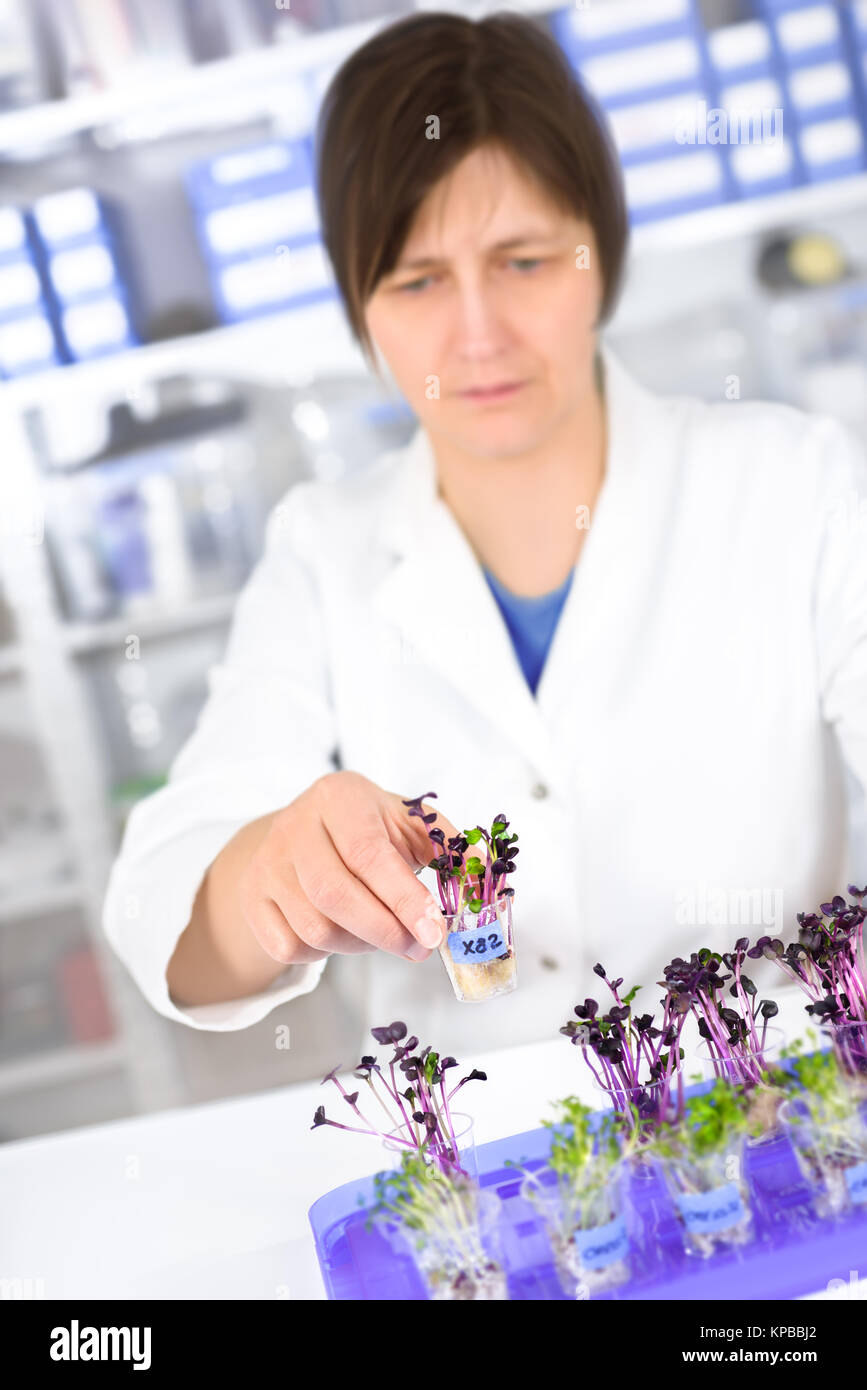 Observation under microscope hi-res stock photography and images - Alamy