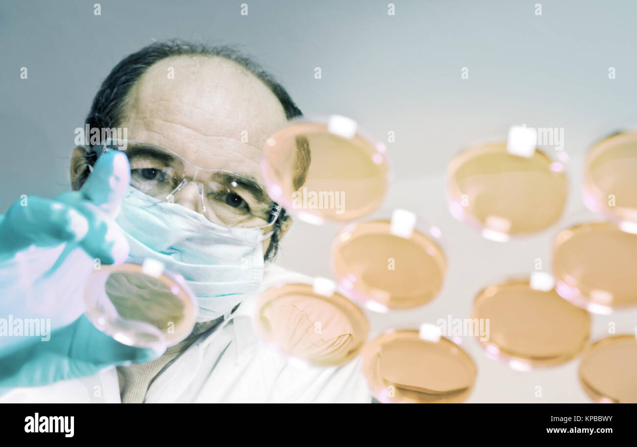 Scientist launches cell culture experiment Stock Photo - Alamy