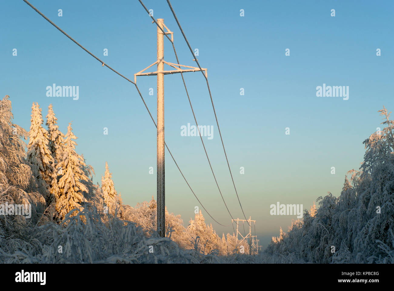 High-voltage power transmission line, passing through a glade in the ...