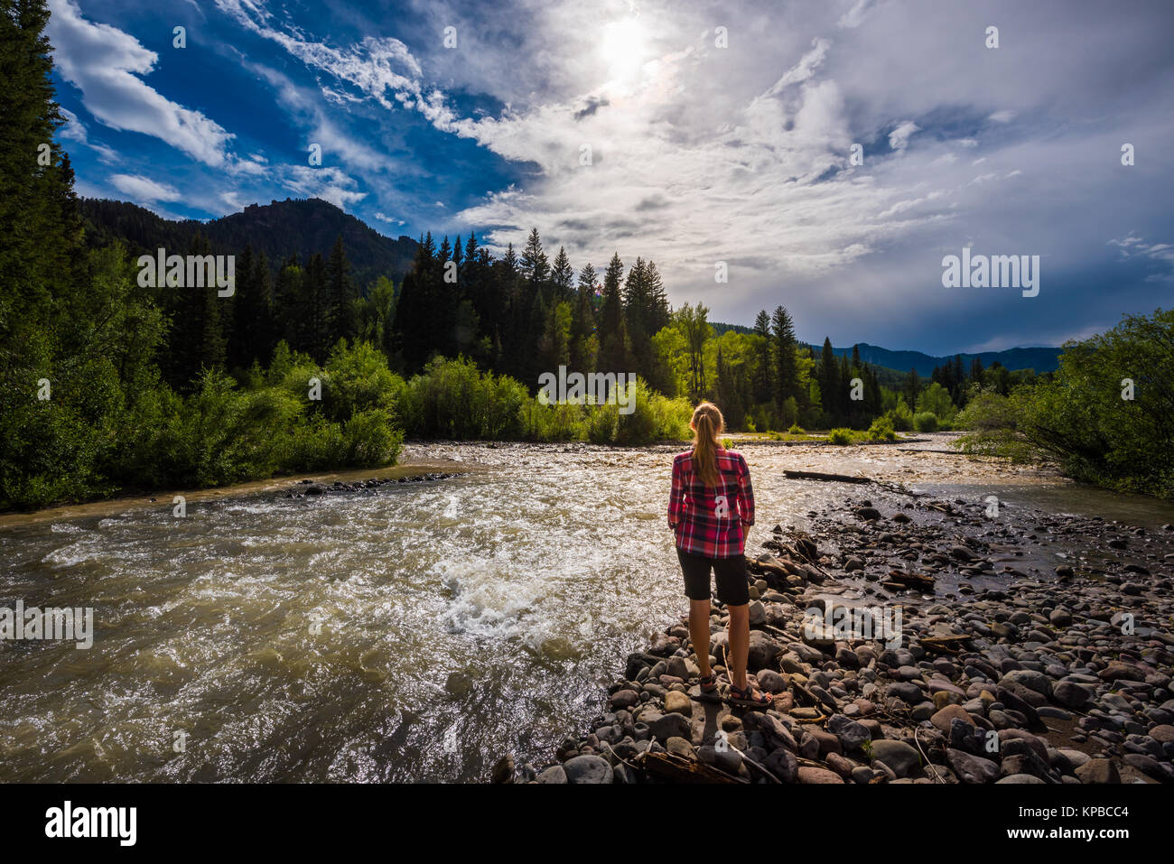 Hiker wearing checkered shirt stands near the Cimarron River Ouray ...