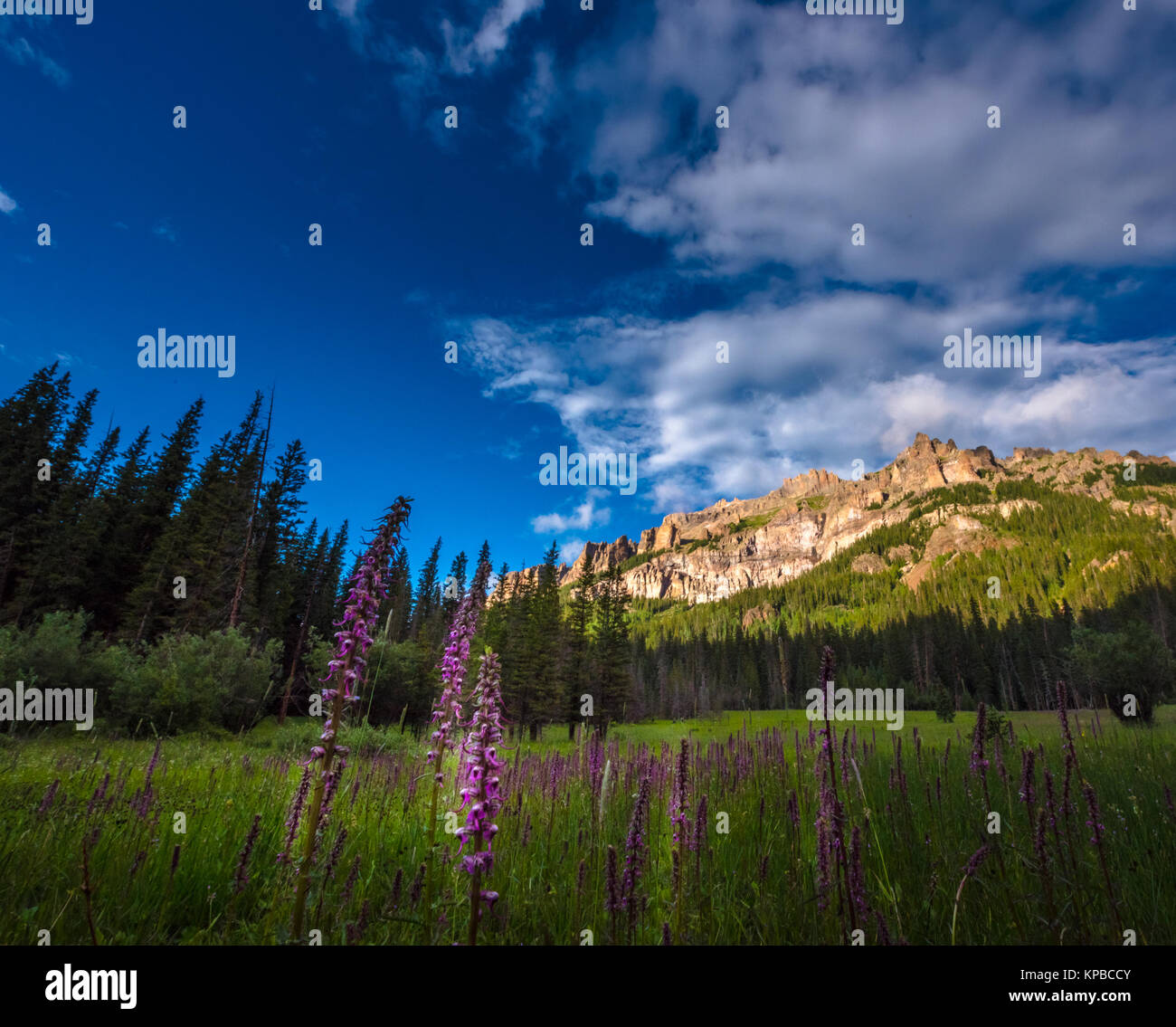 Pinnacle ridge San Juan range near Ouray Colorado Stock Photo - Alamy