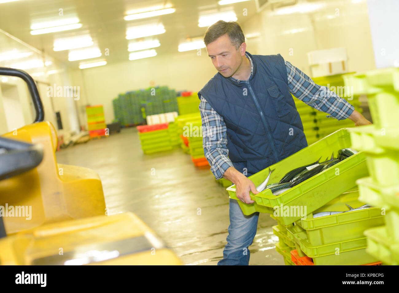 Worker moving crate of fresh fish Stock Photo - Alamy