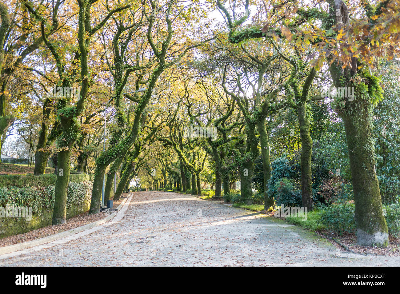 Alameda park santiago de compostela hi-res stock photography and images ...