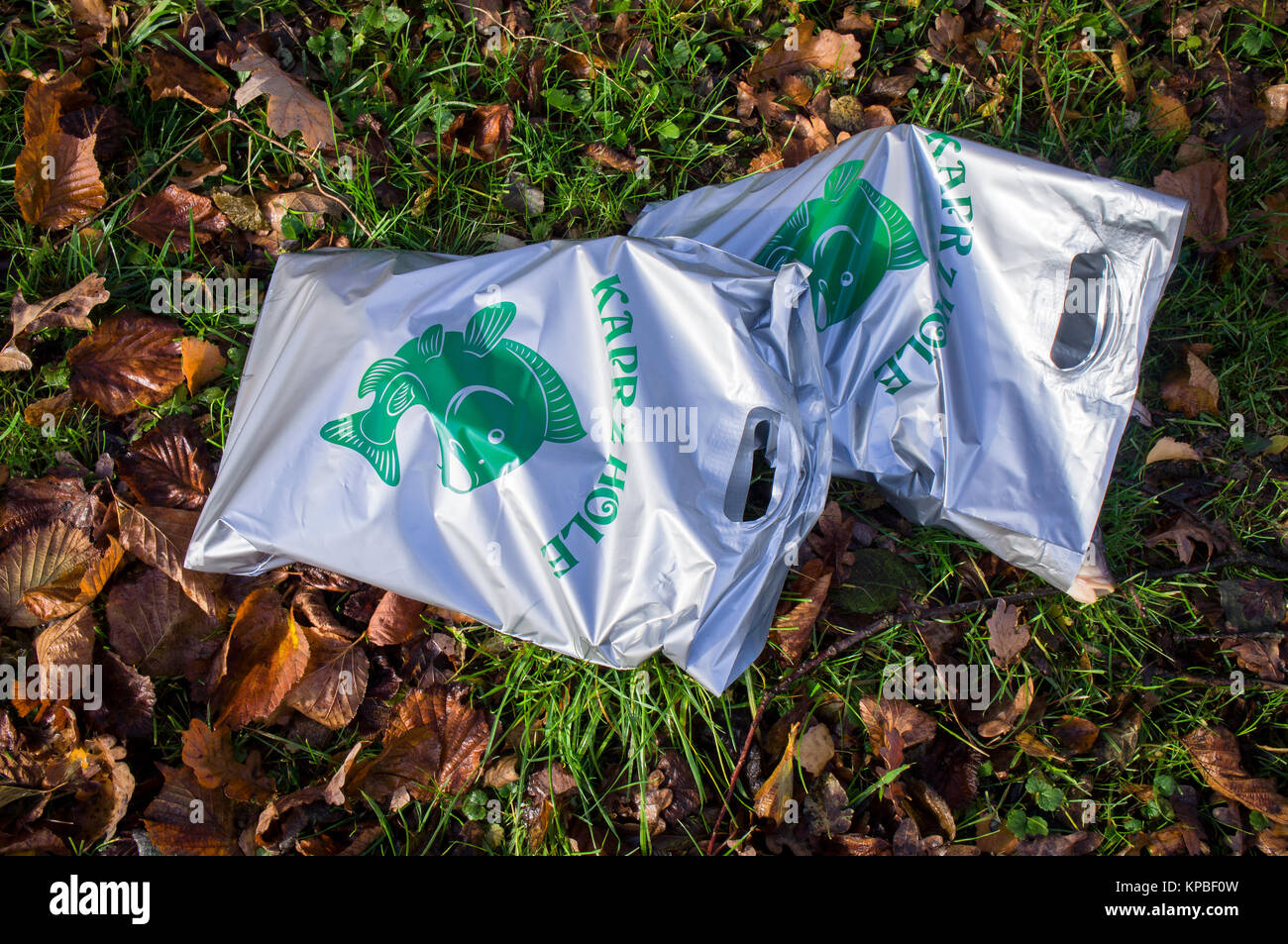 fishermen, fish, pond, fish out, haul, net, plastic bag Stock Photo - Alamy