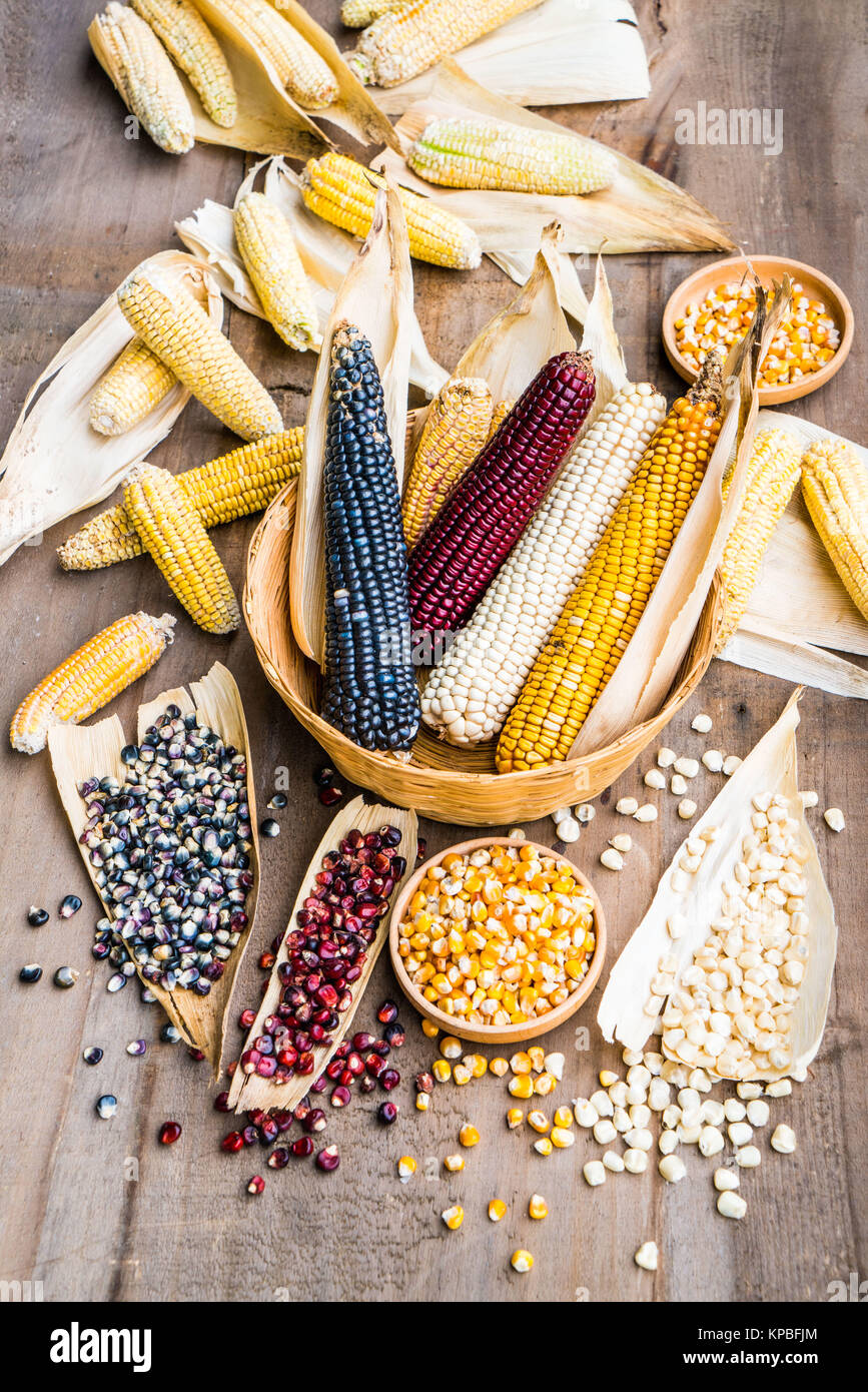Latin American maize varieties Stock Photo - Alamy