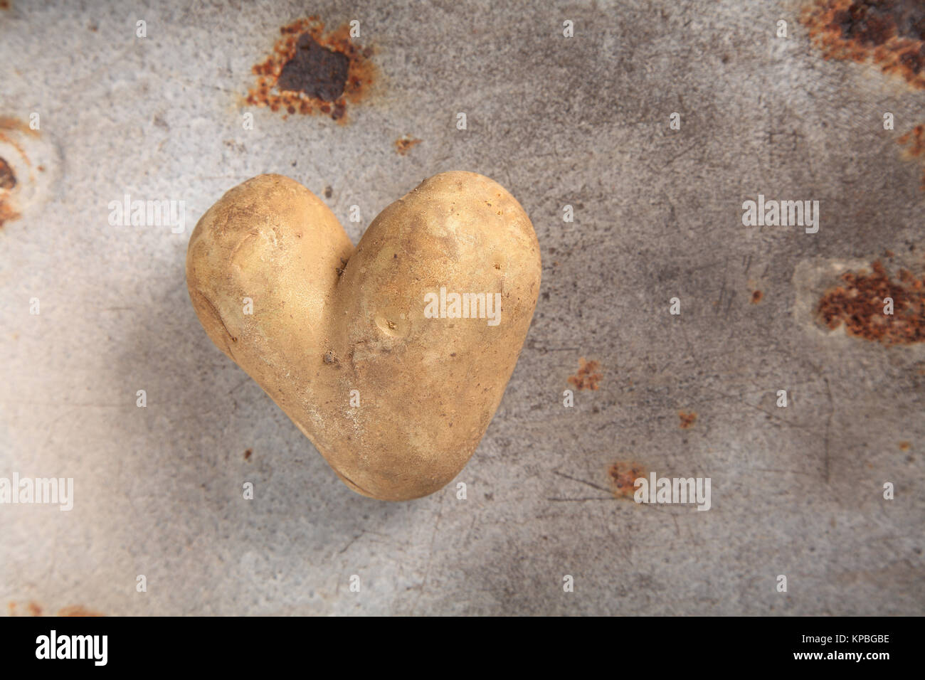 Fun double heart shaped fresh uncooked whole potato or spud lying on an ...