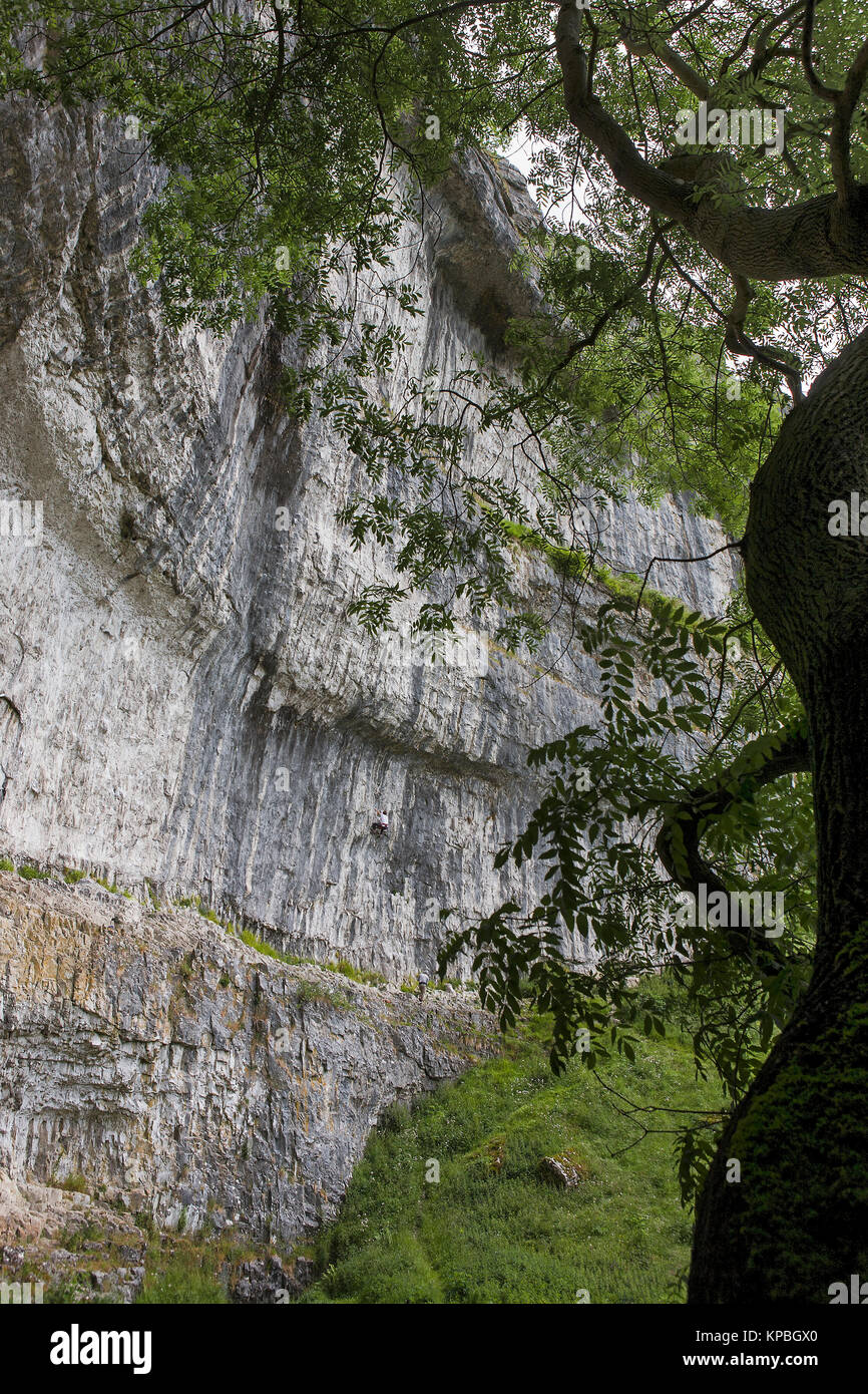 Close-up of the cliff-face of Malham Cove, , North Yorkshire, England ...