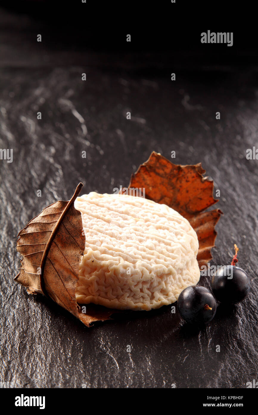 Food Still Life - Close Up of Round of Soft Aged Cheese with Dark Red ...