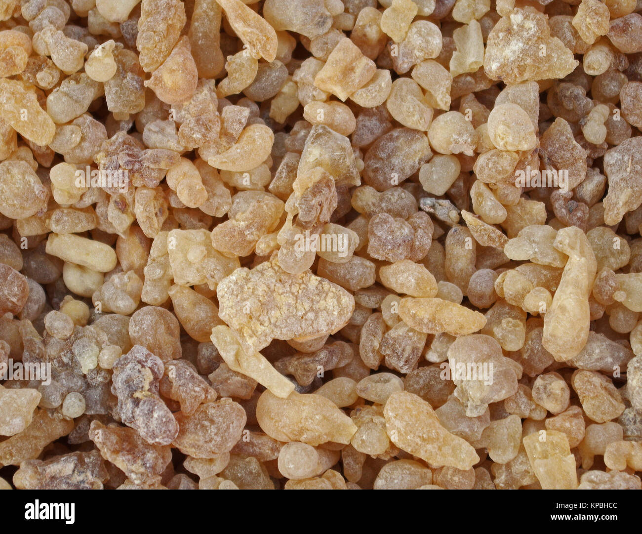 Oman frankincense tree hi-res stock photography and images - Alamy