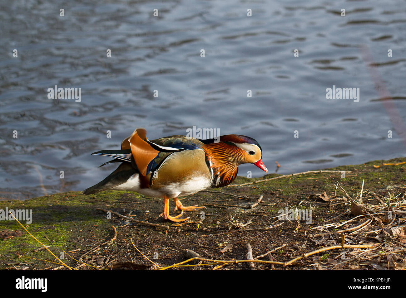 spring in berlin friedrichshain park Stock Photo - Alamy