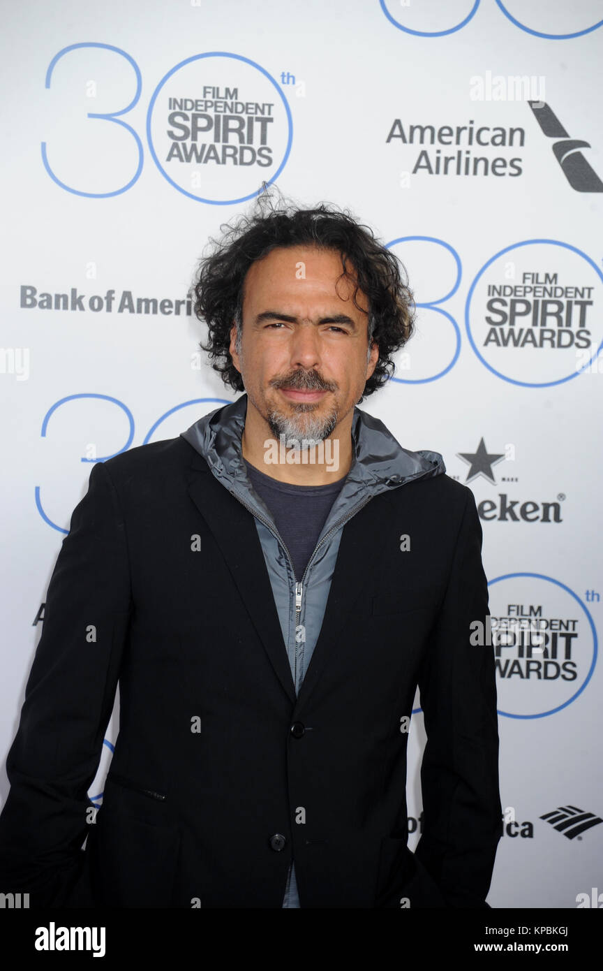 SANTA MONICA, CA - FEBRUARY 21: Alejandro Gonzalez attends the 2015 ...