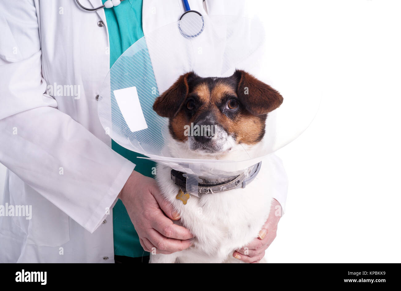 Vet with dog Stock Photo - Alamy