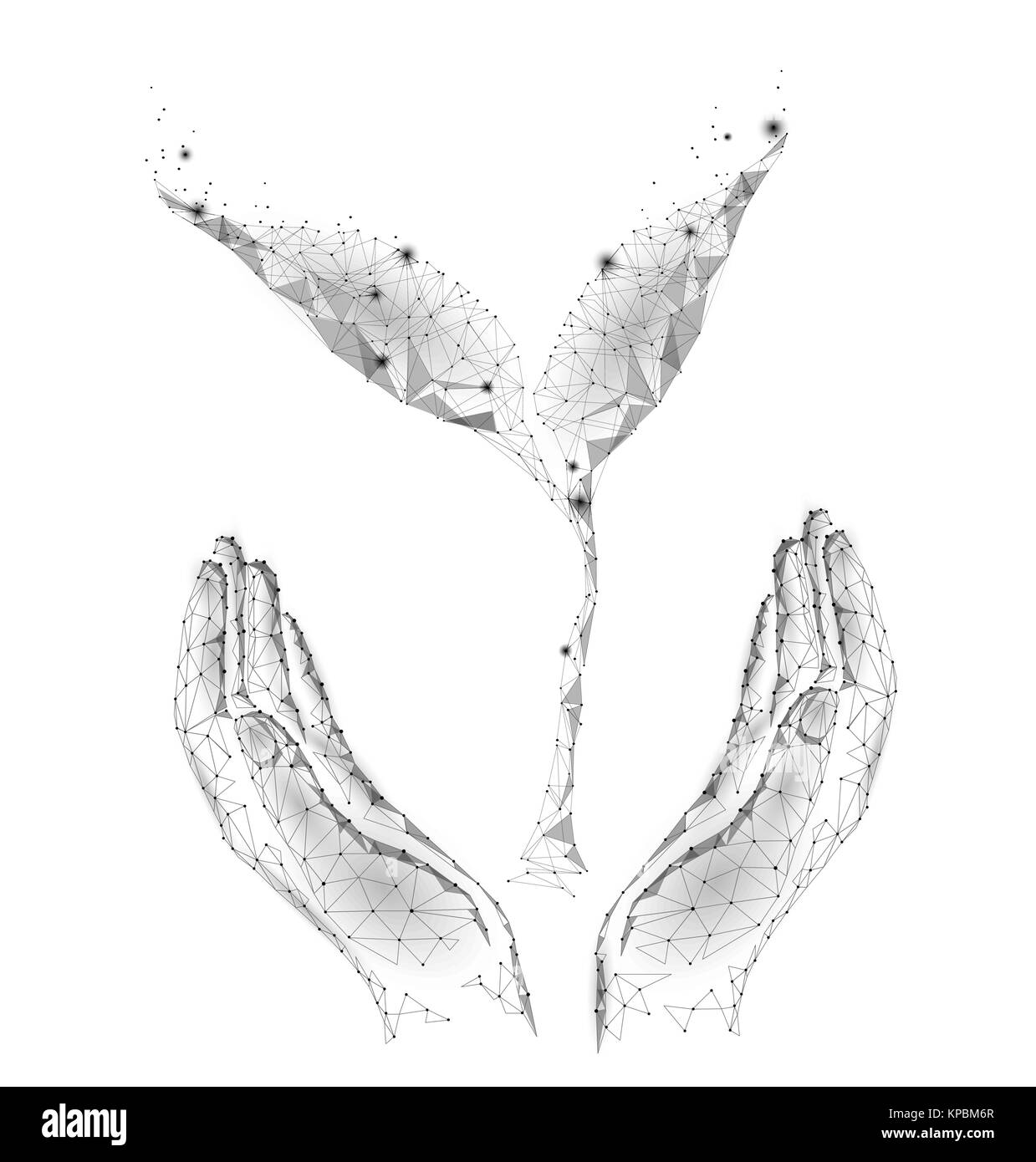 White line tree in hand Cut Out Stock Images & Pictures - Alamy