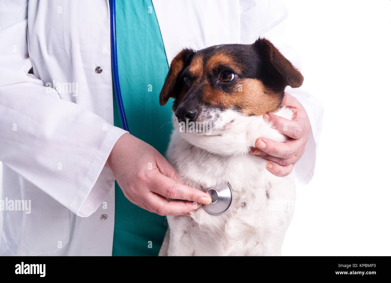Vet with dog Stock Photo - Alamy