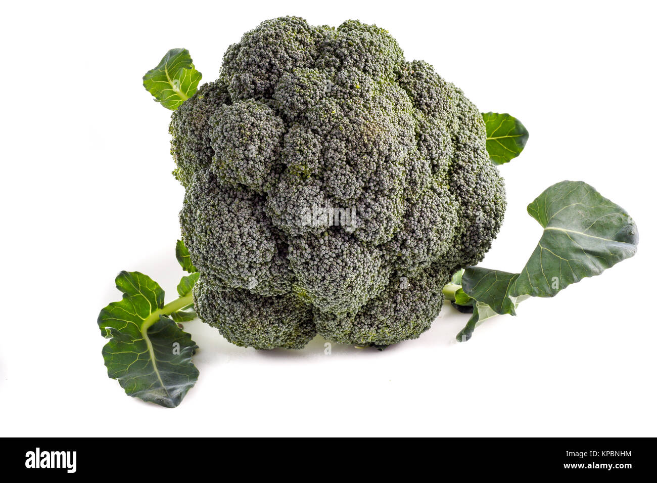 Organic Broccoli cabbage Stock Photo - Alamy