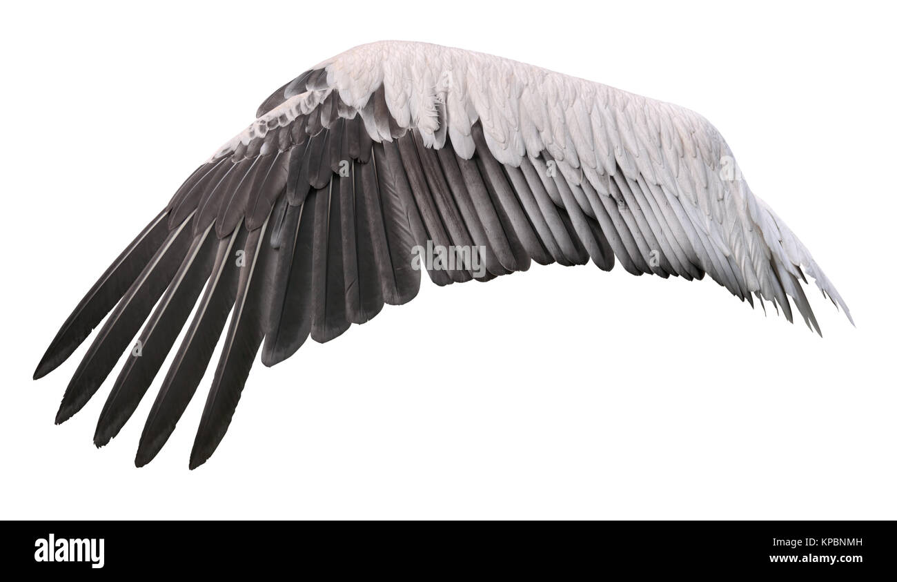 Horizontal colour photo Cut Out Stock Images & Pictures - Alamy