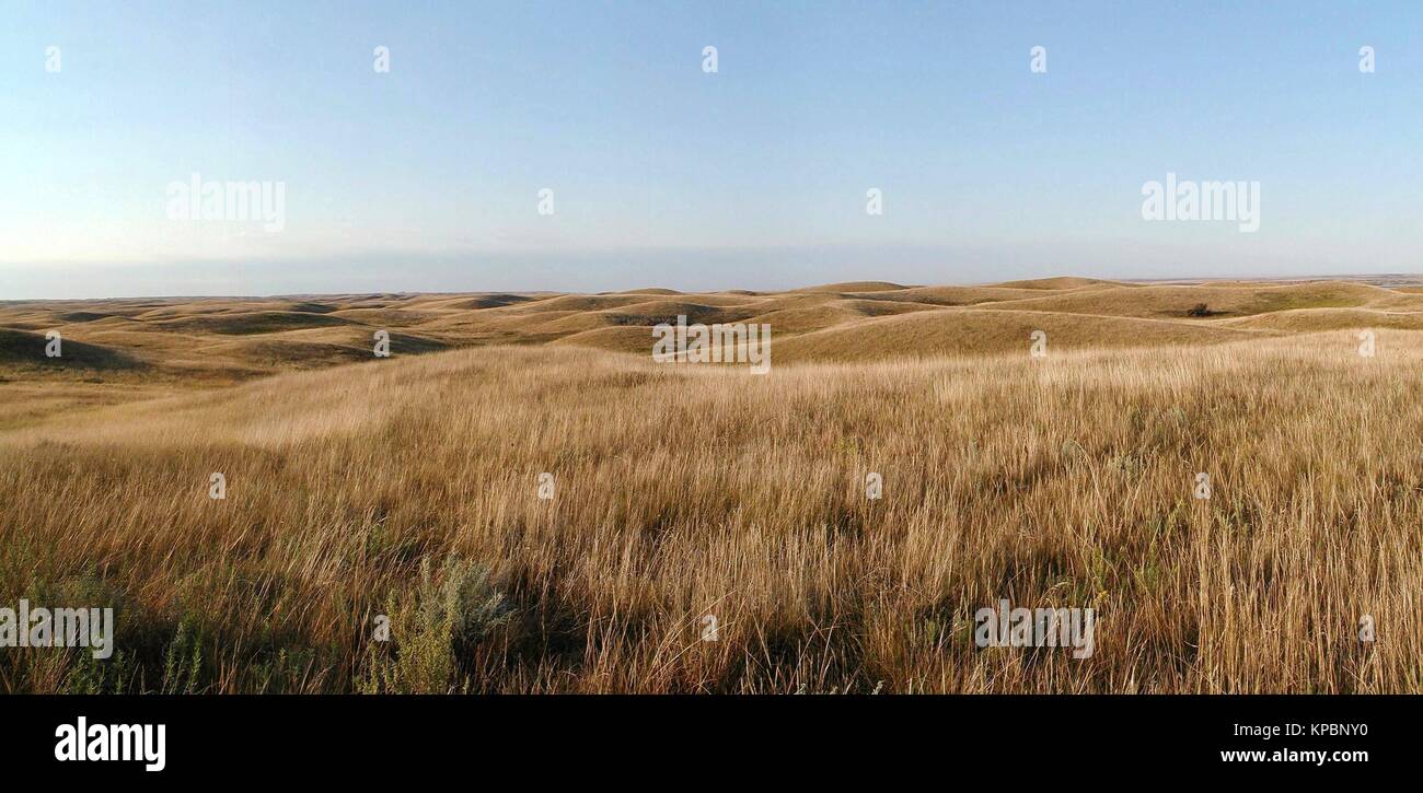 Large expanse of grass prairie grassland at the Prairie Pothole Region ...