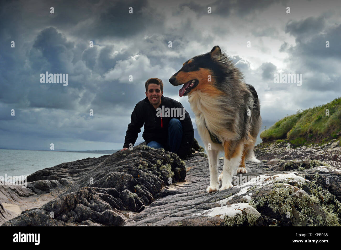 Man with rough collie dog on beach rock in Dingle, Ireland. Heavy ...