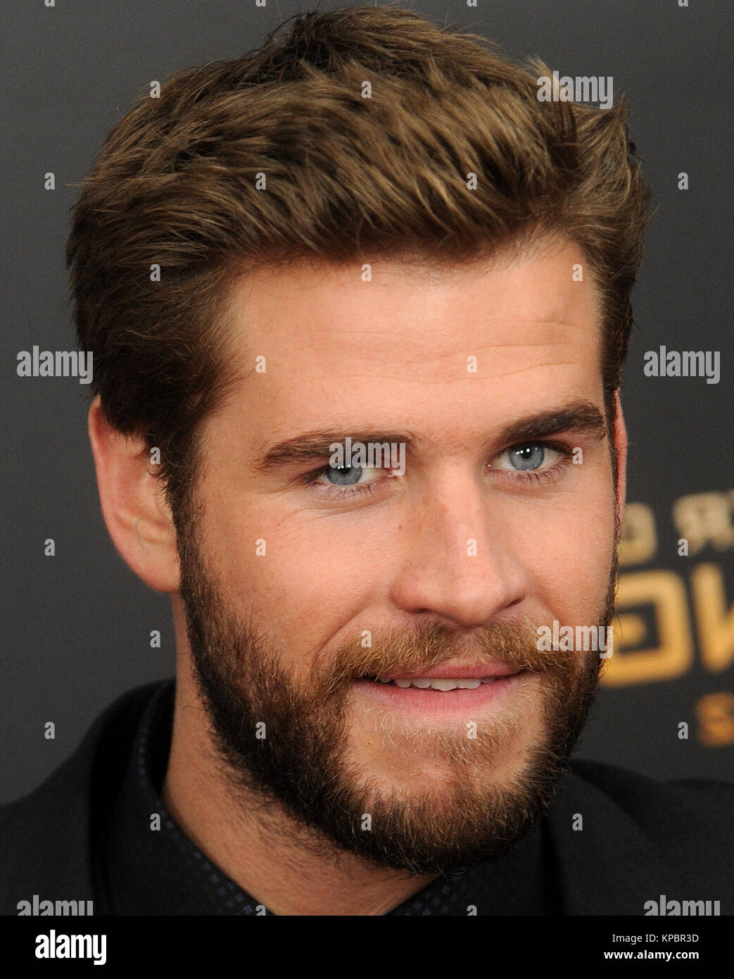 NEW YORK, NY - NOVEMBER 18: Josh Hutcherson, Liam Hemsworth attends the ...