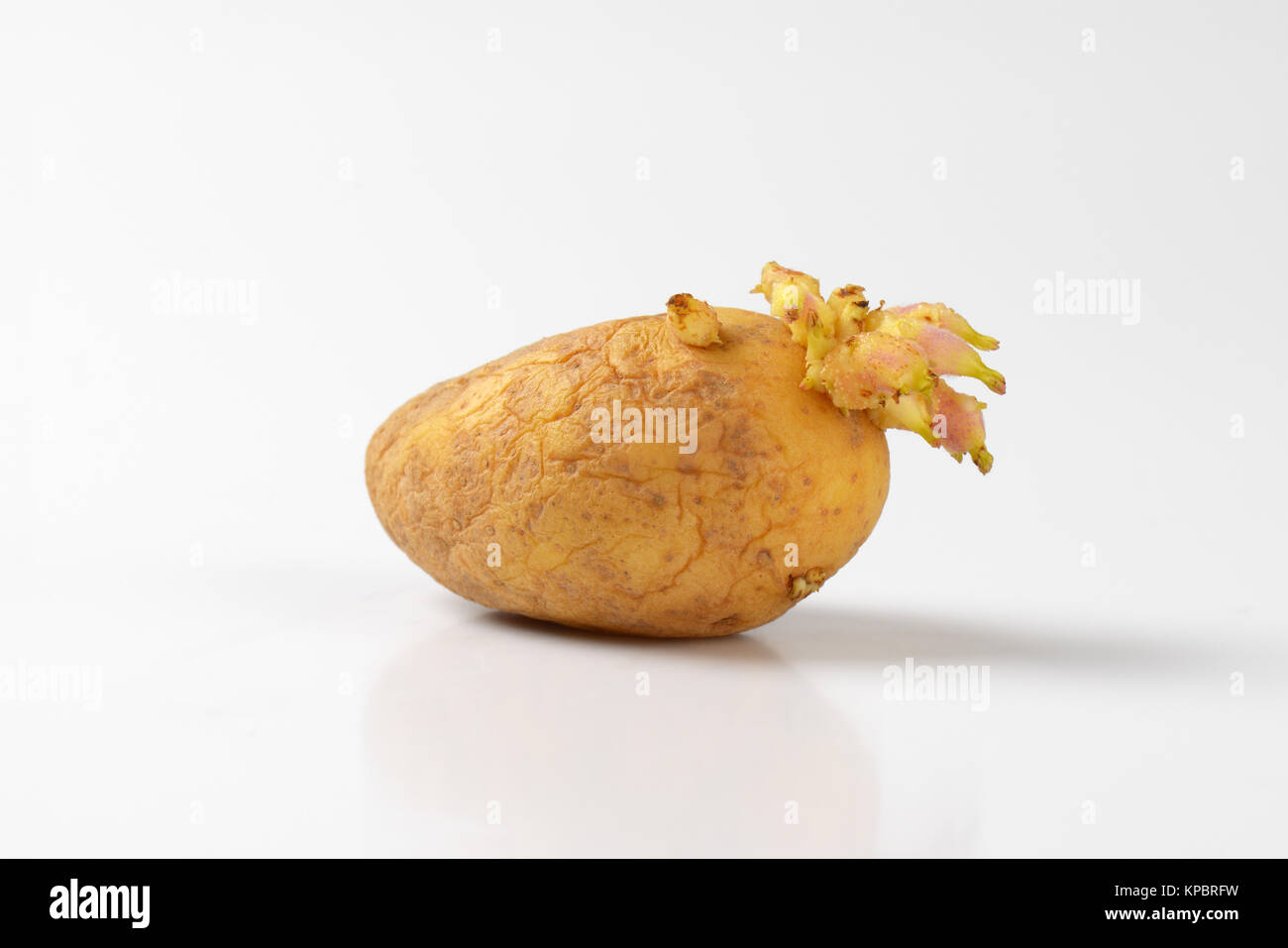 potato with sprouts Stock Photo - Alamy