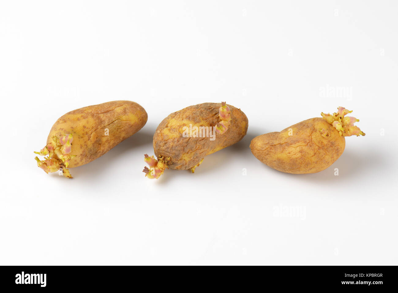 potatoes growing sprouts Stock Photo - Alamy