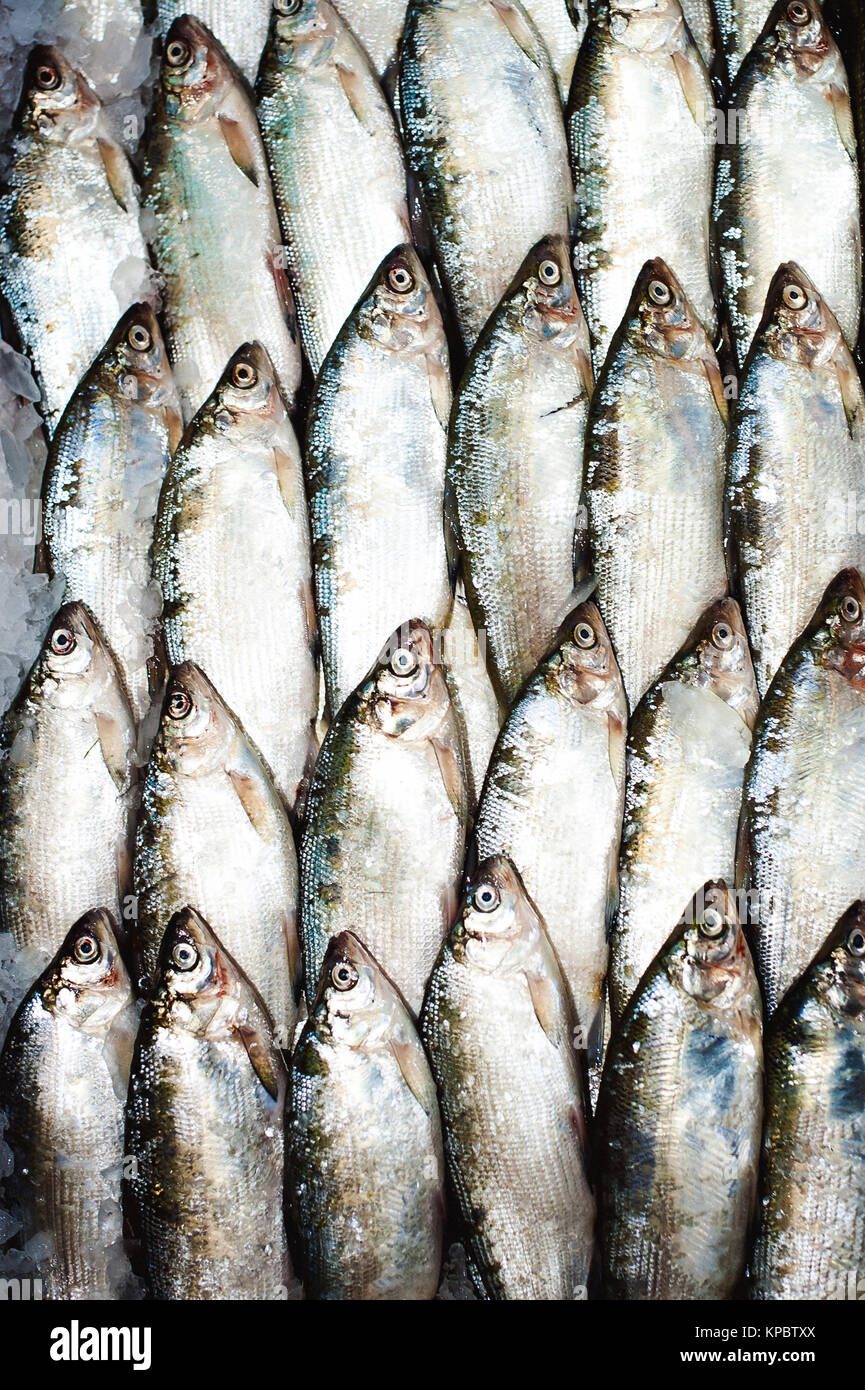 Supermarket shelves fresh fish hi-res stock photography and images - Alamy